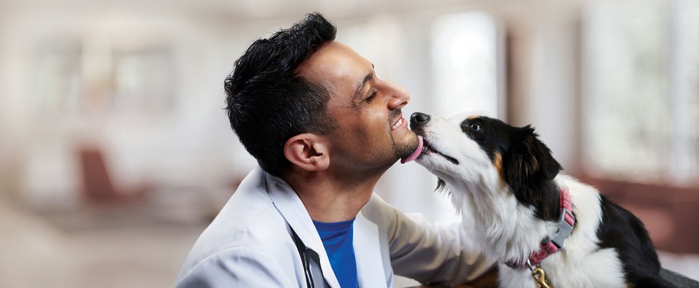 Thrive Pet Healthcare — TSG Consumer