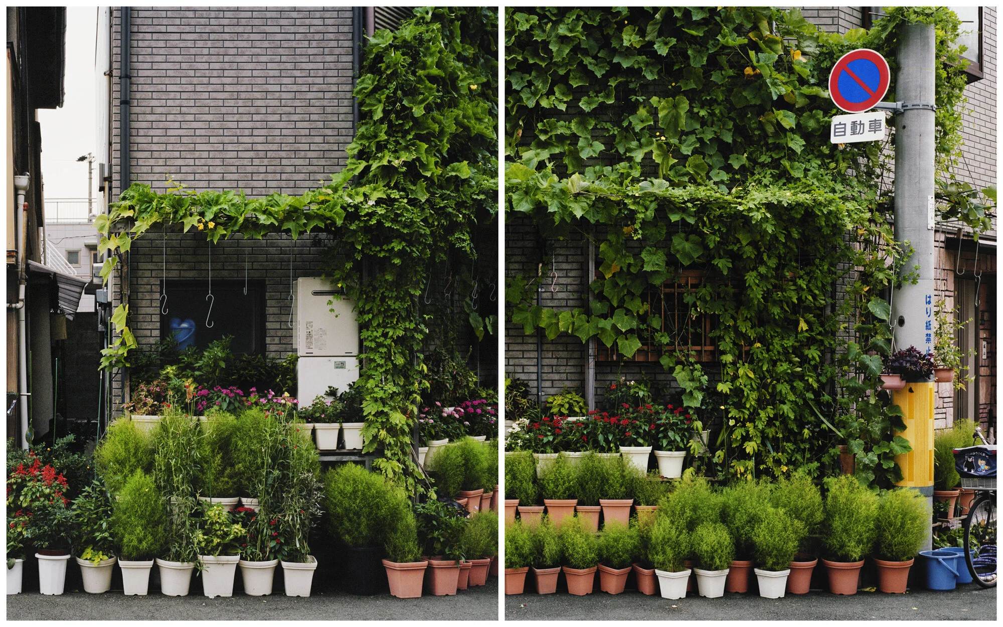 Japan — John-Paul Herdeg