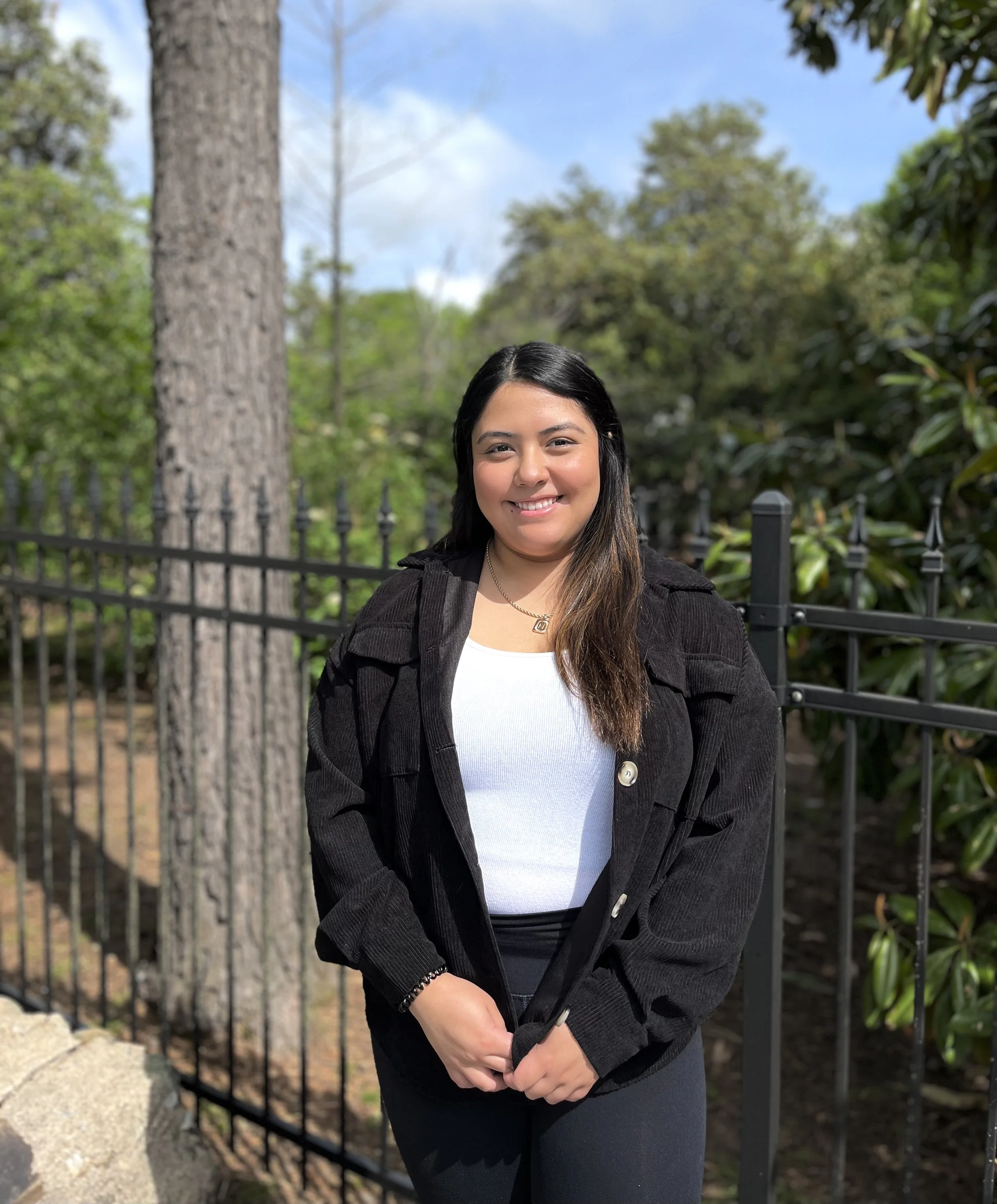 About — Downtown Springdale