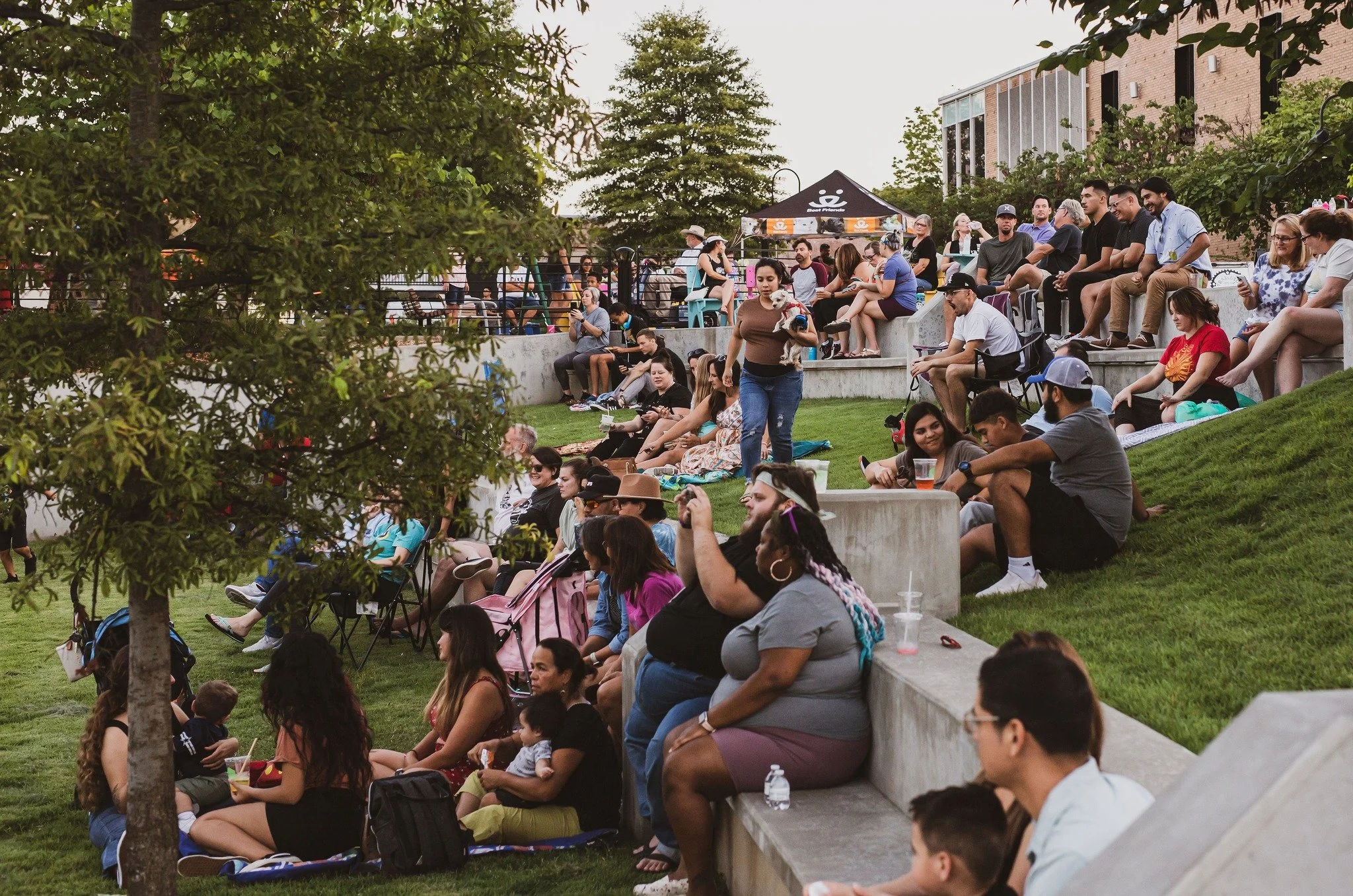 About — Downtown Springdale