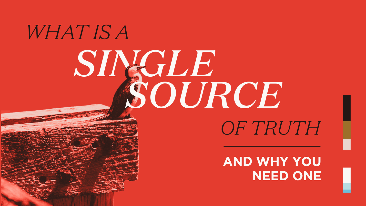 Single Source of Truth — Hoot Design Company | A Women-led, Creative ...