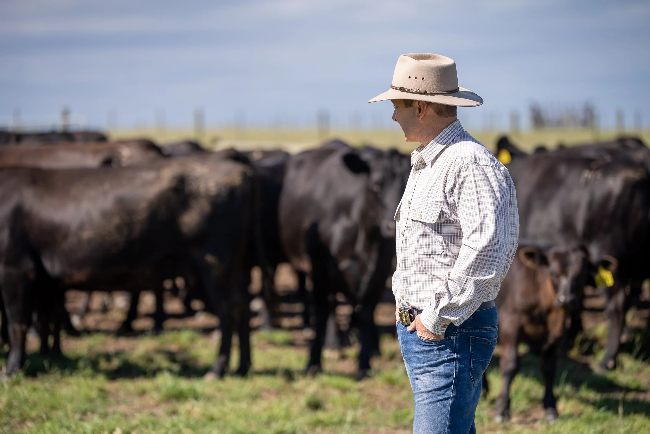 Bowman Performance Genetics