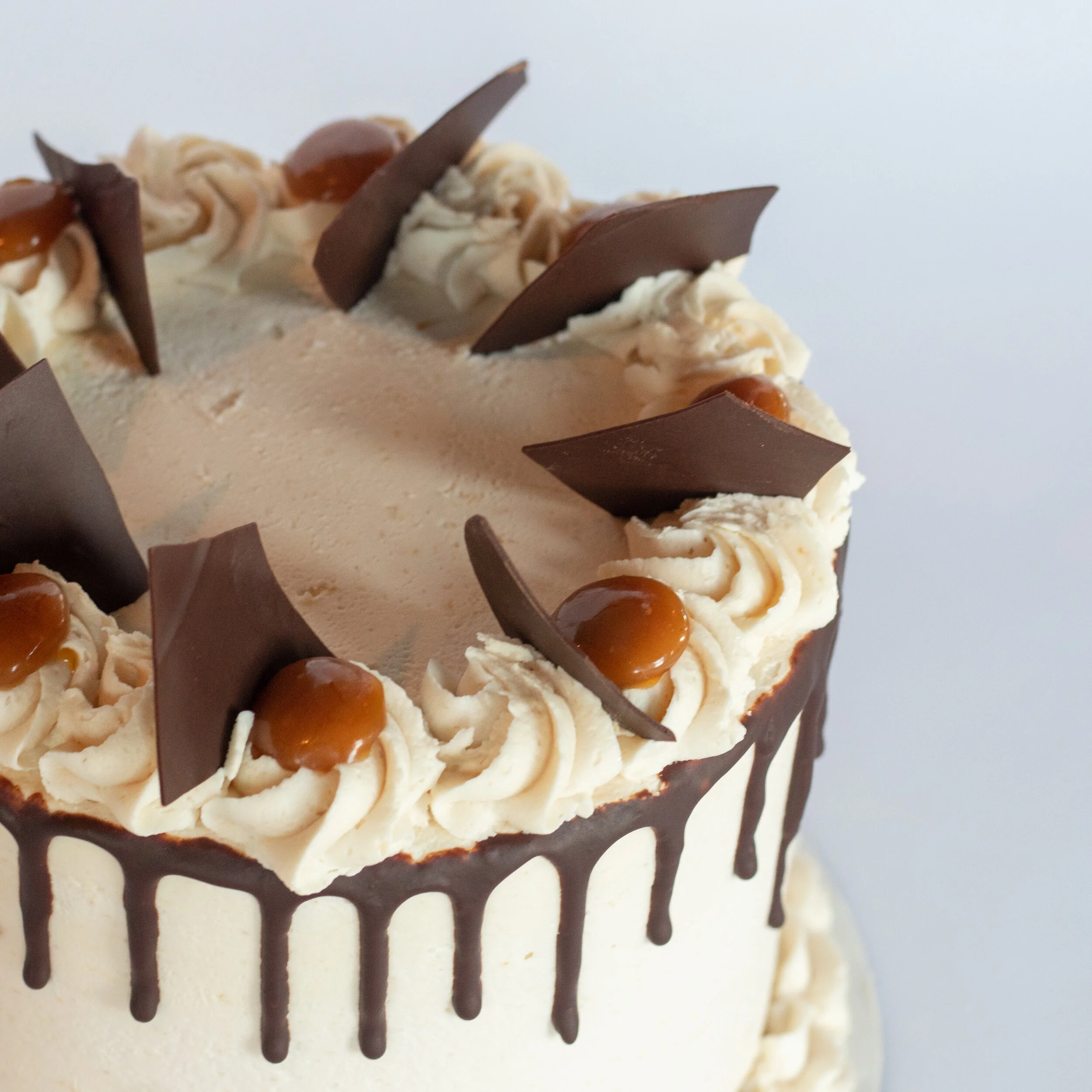 Plant City | Plant-Based Food Hall & Marketplace