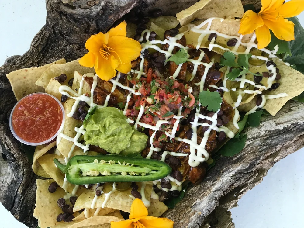Tree Hugger: Plant-Based Kitchen