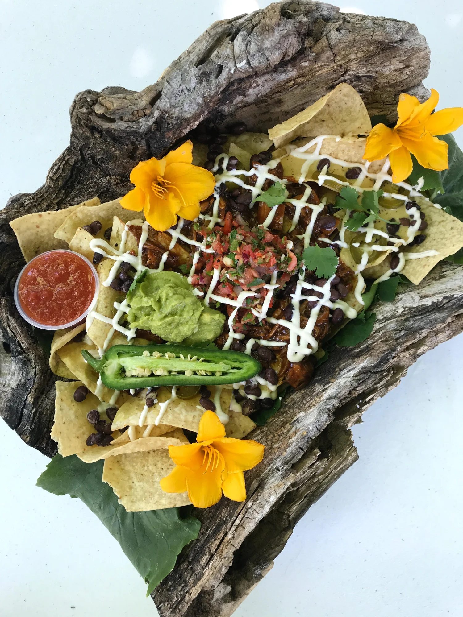Photos — Tree Hugger: Plant-Based Kitchen