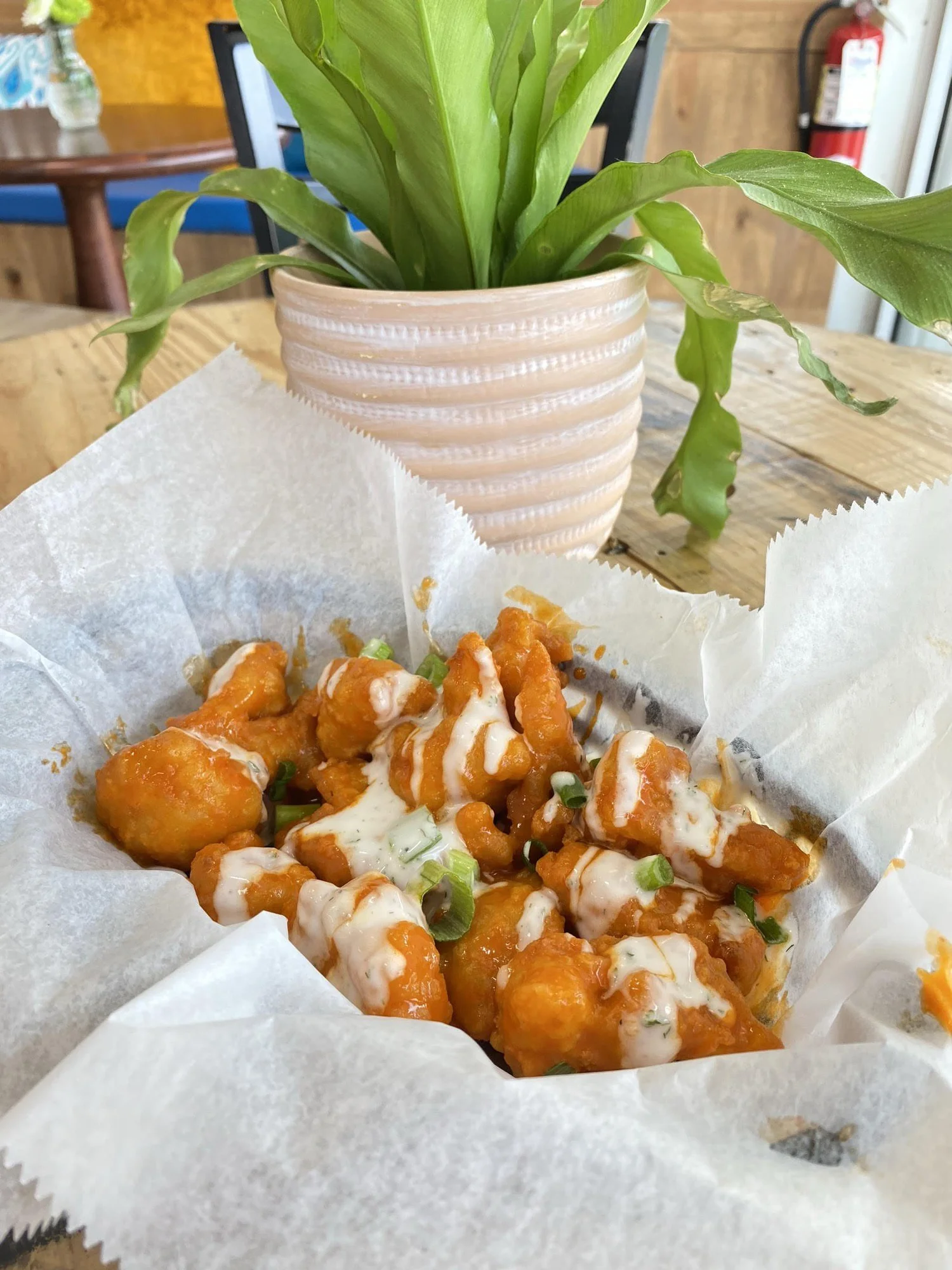 Photos — Tree Hugger: Plant-Based Kitchen