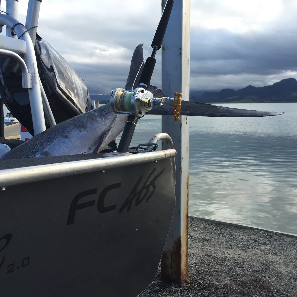 Small Boat Game Fishing — Reel Tails with Sweens