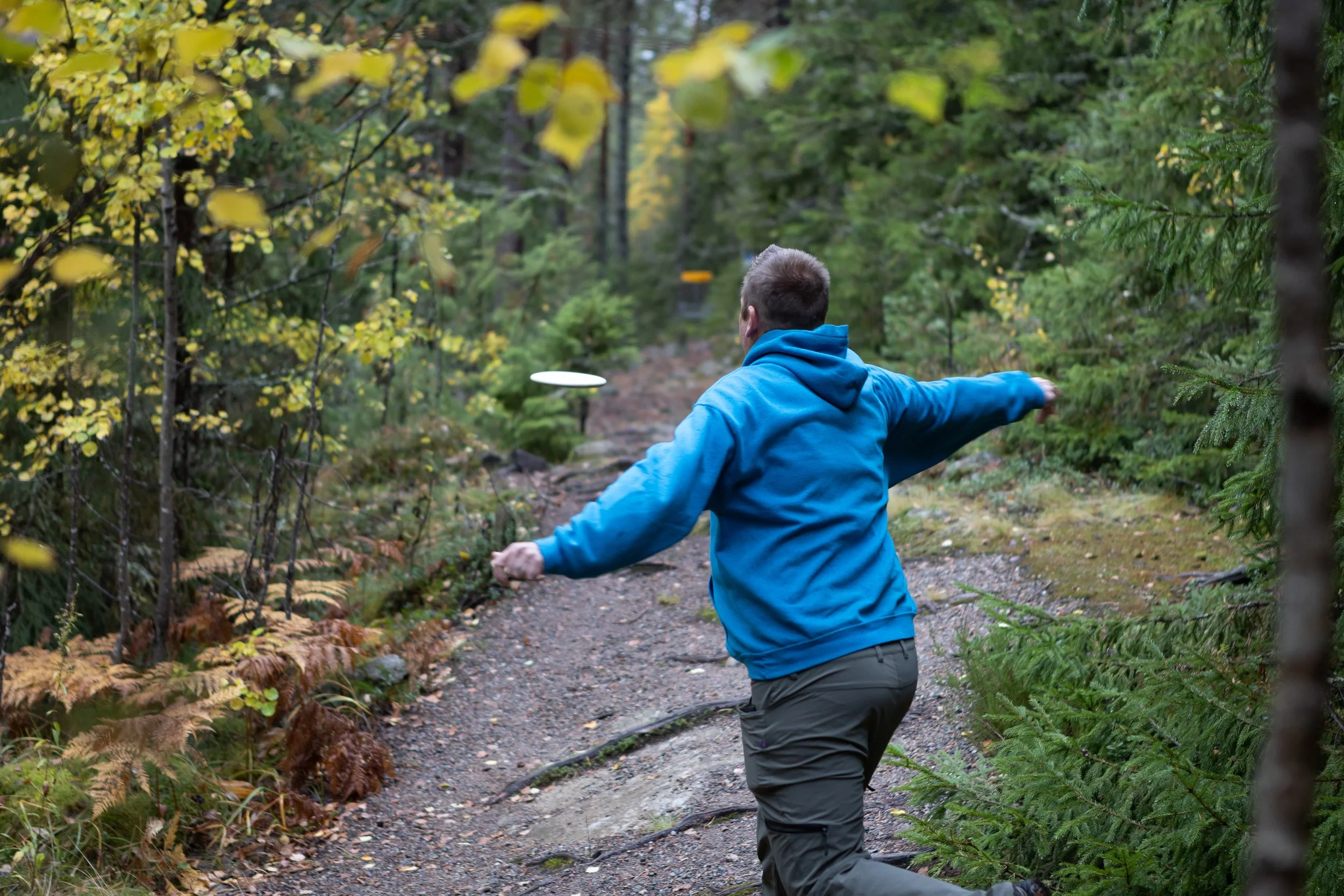 Mastering the Inner Game of Disc Golf: A Psychological Approach to ...