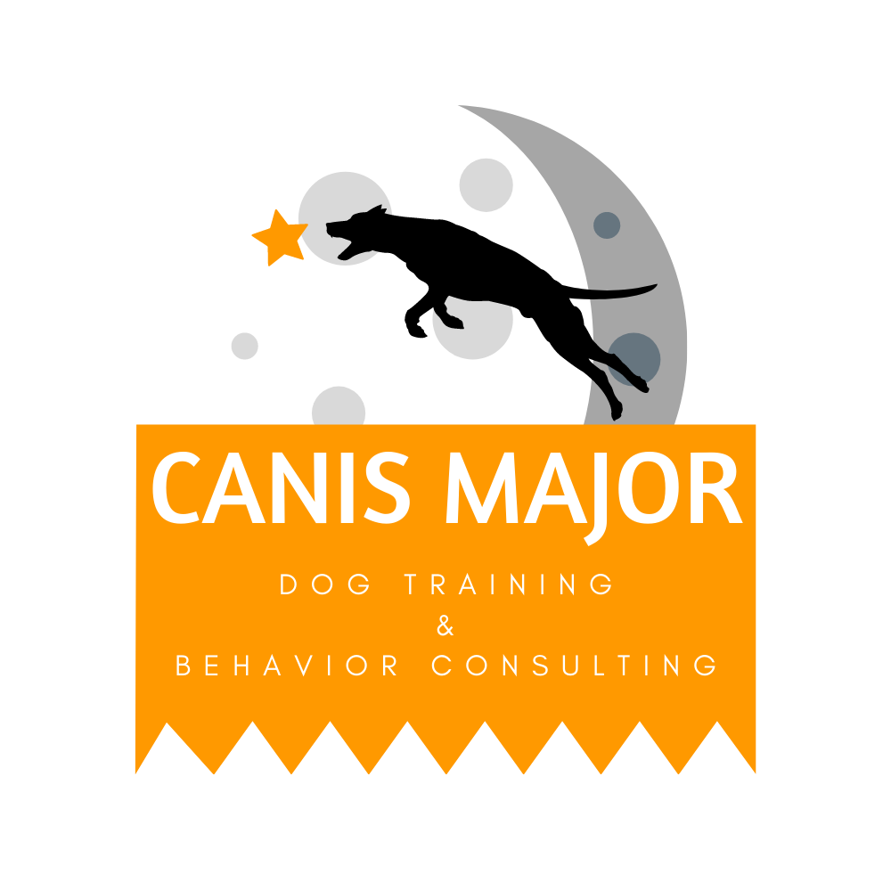 Canis Major Dog