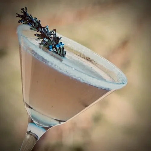 The Fascinating History of Gin — Kiepersol