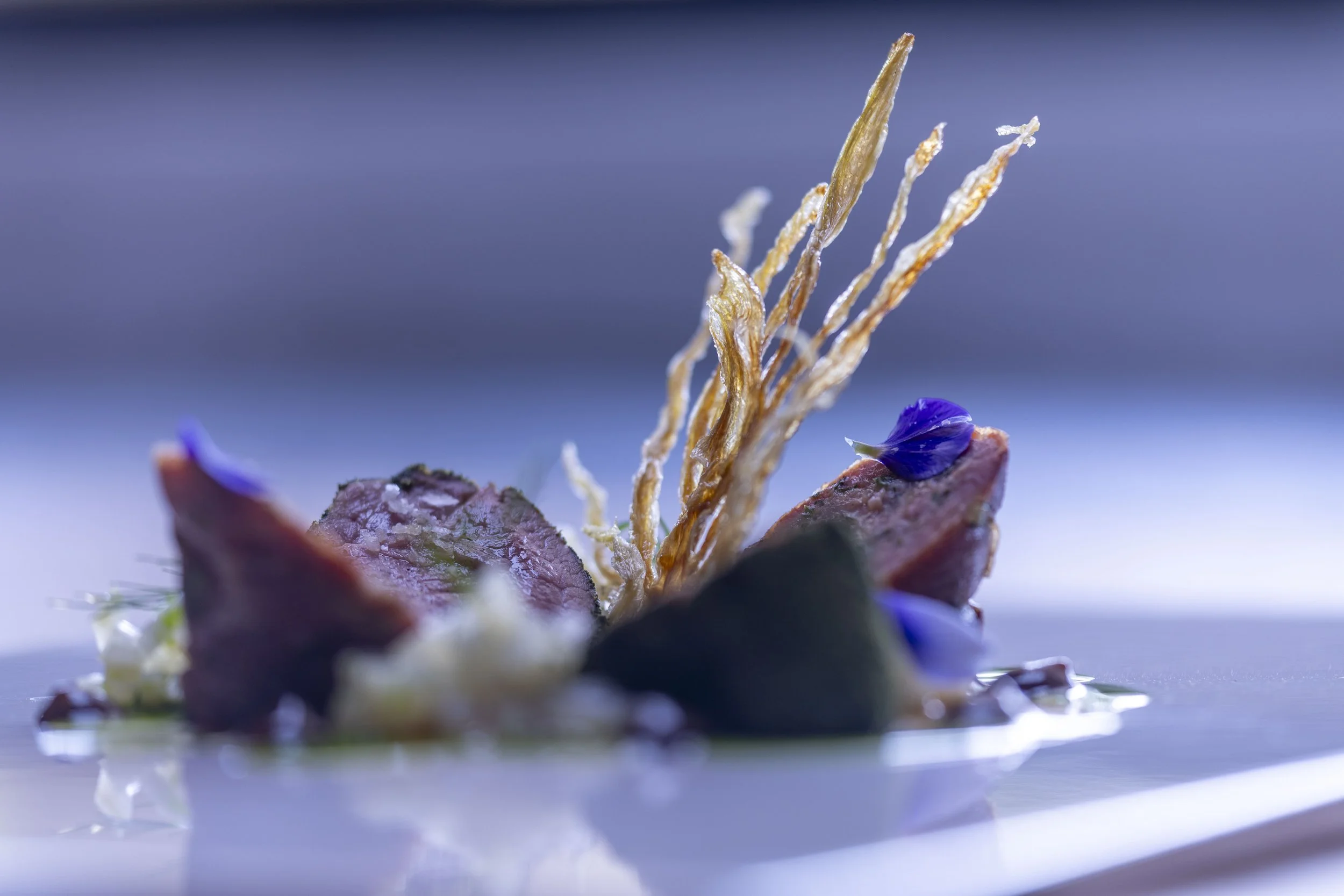 Gallery — Montrachet