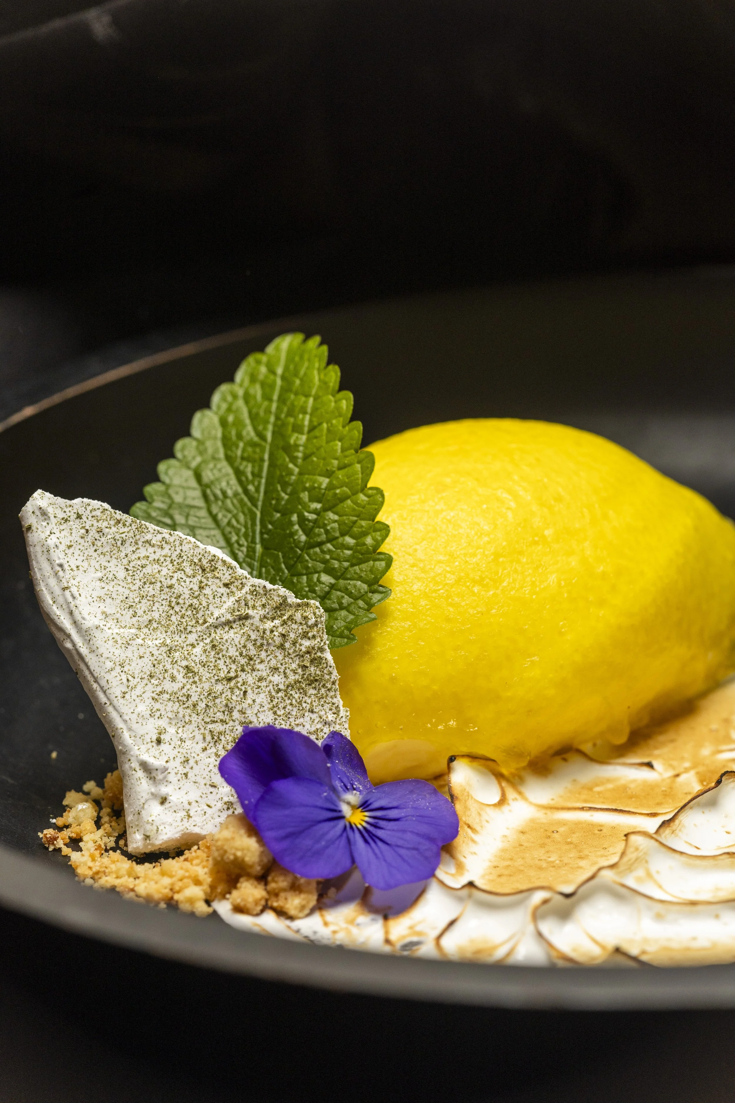 Gallery — Montrachet