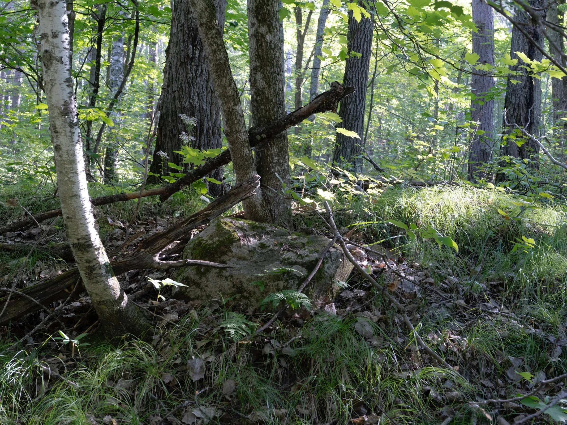 Upcoming Exhibitions — Nemeth Art Center