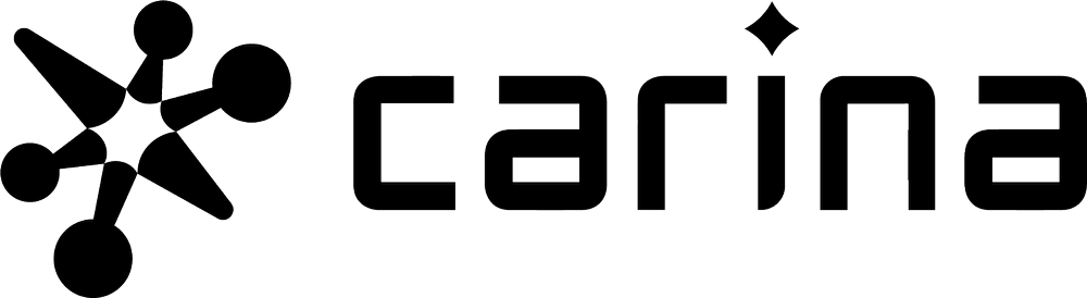 Approach — Carina Initiatives