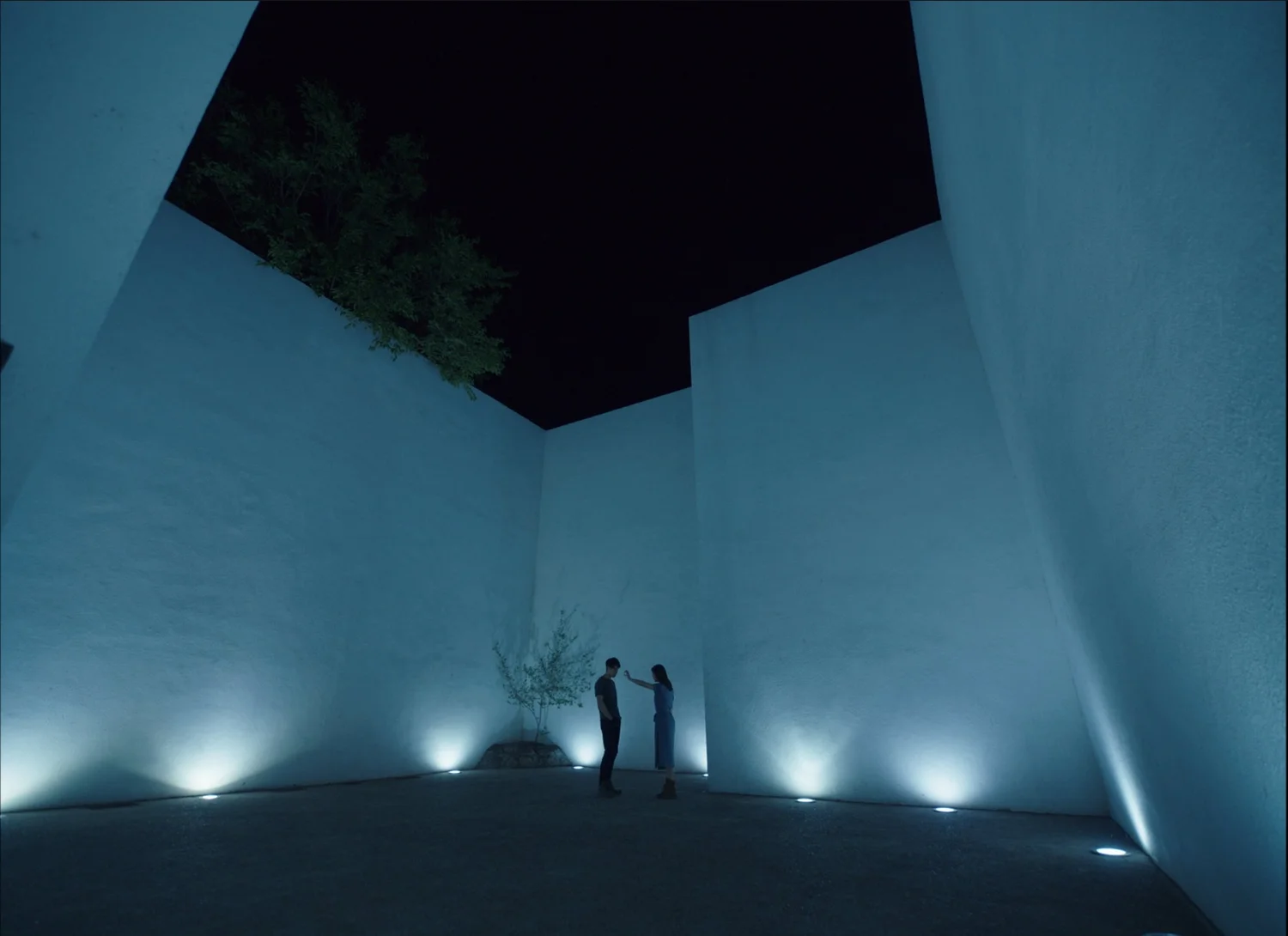 Han Song Luo's Film Review of Neysan Sobhani's Guidance (2021 ...