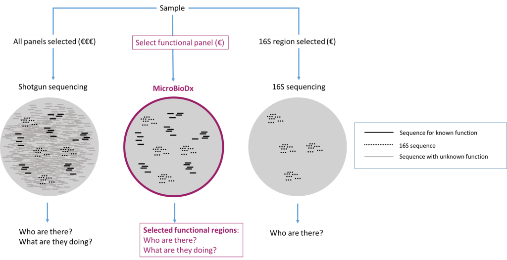 Targeted Microbiome Profiling — Predica Diagnostics