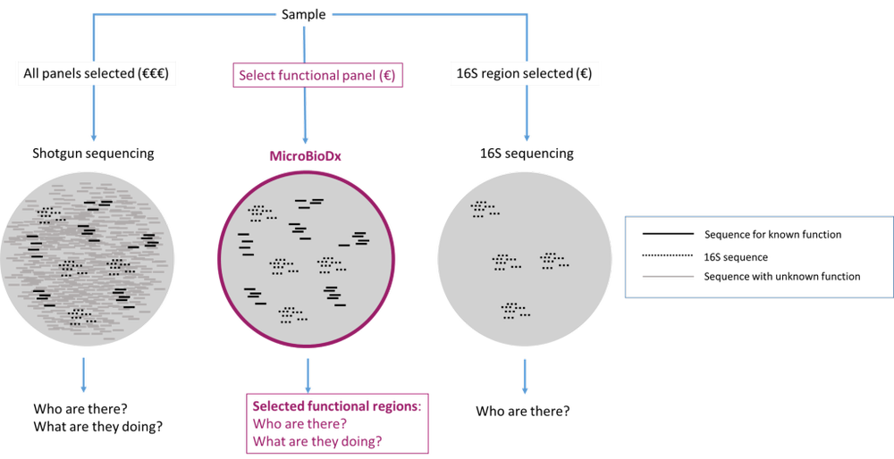 Targeted Microbiome Profiling — Predica Diagnostics