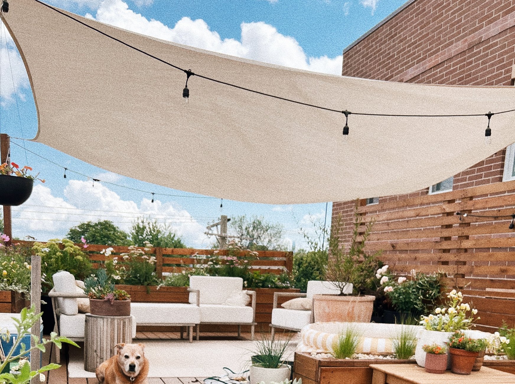 Rooftop Deck Construction in Chicago - Before and After — Plant & Co ...