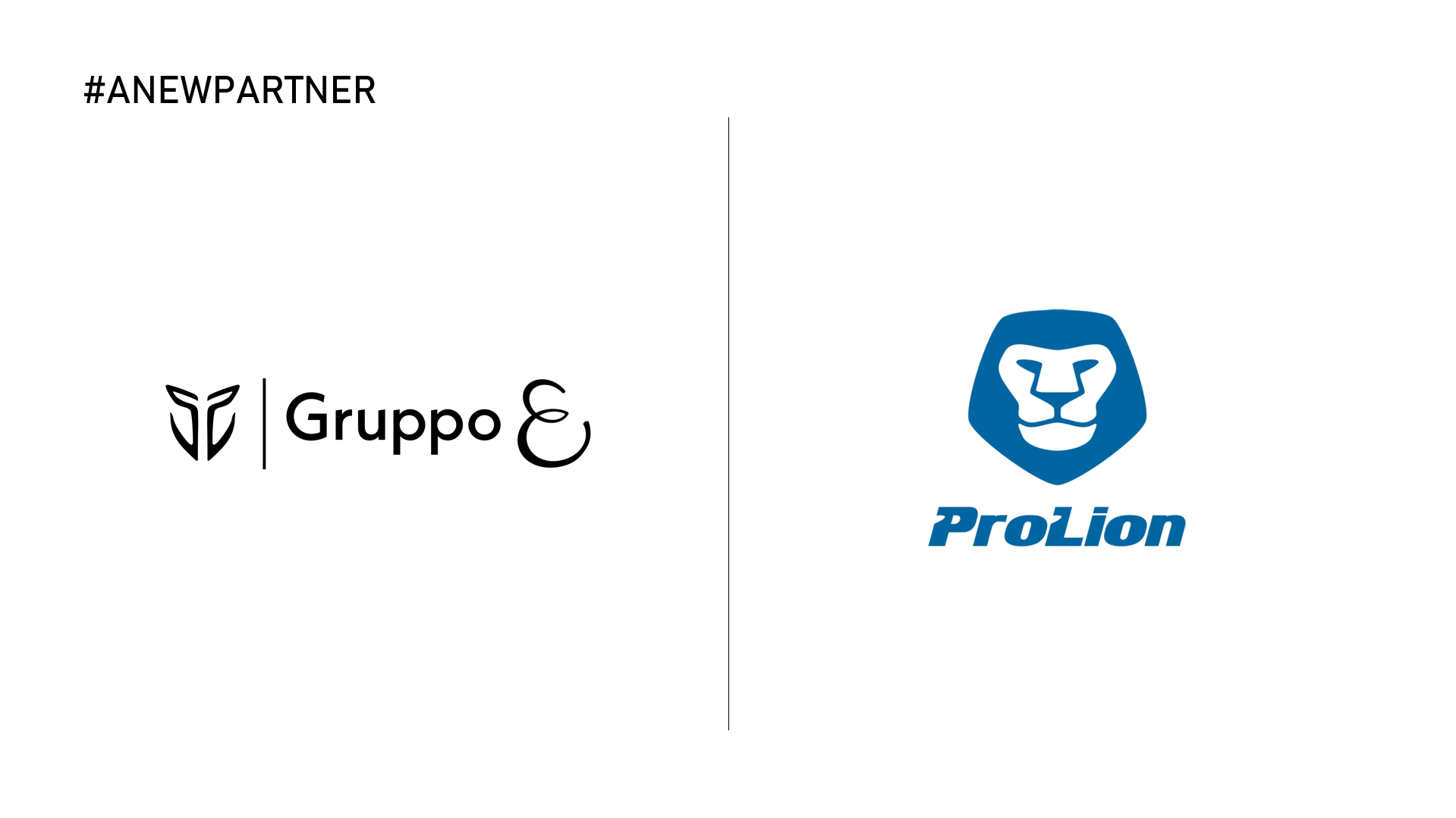 NUOVO PARTNER: PROLION — GRUPPO E | Alleati IT