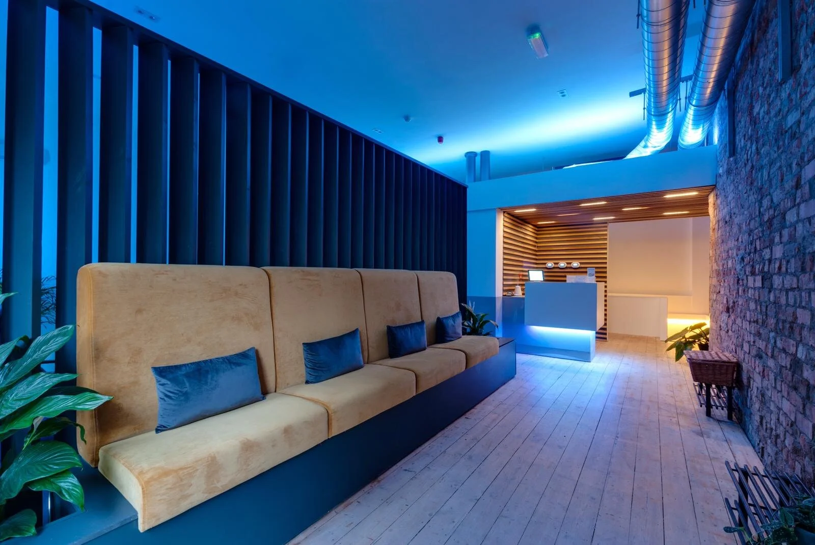 Work — Octo Architects