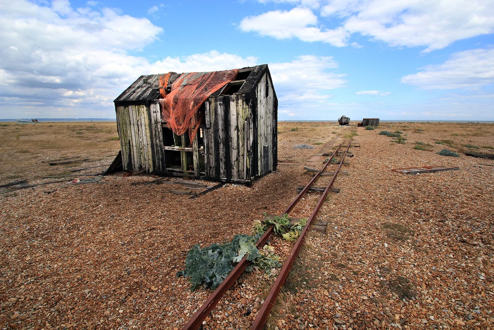 Dungeness National Nature Reserve — Little Legs
