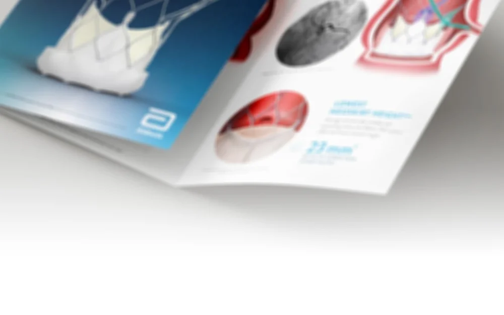 Navitor TAVI System Heart Valve • Medical Illustrations — Biotic Artlab