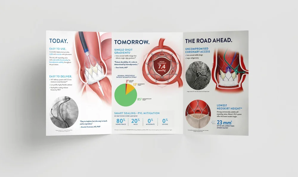 Navitor TAVI System Heart Valve • Medical Illustrations — Biotic Artlab