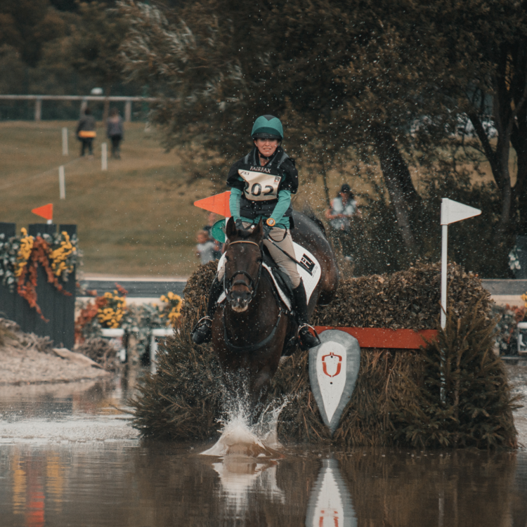 How To Successfully Advertise Equestrian Events / — EQUERRY / CO