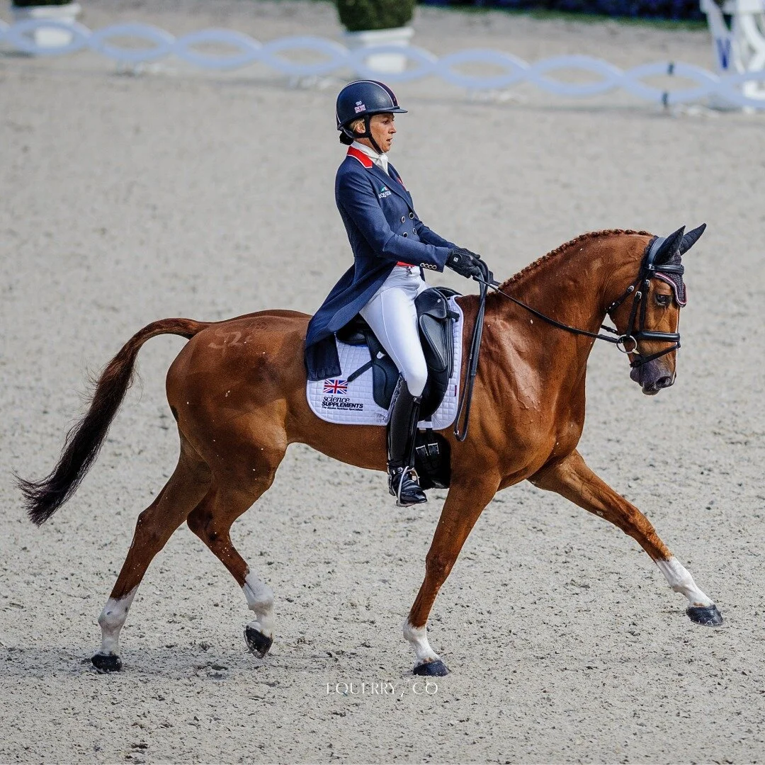 Home | Specialist Equine Marketing, Web & Brand Design