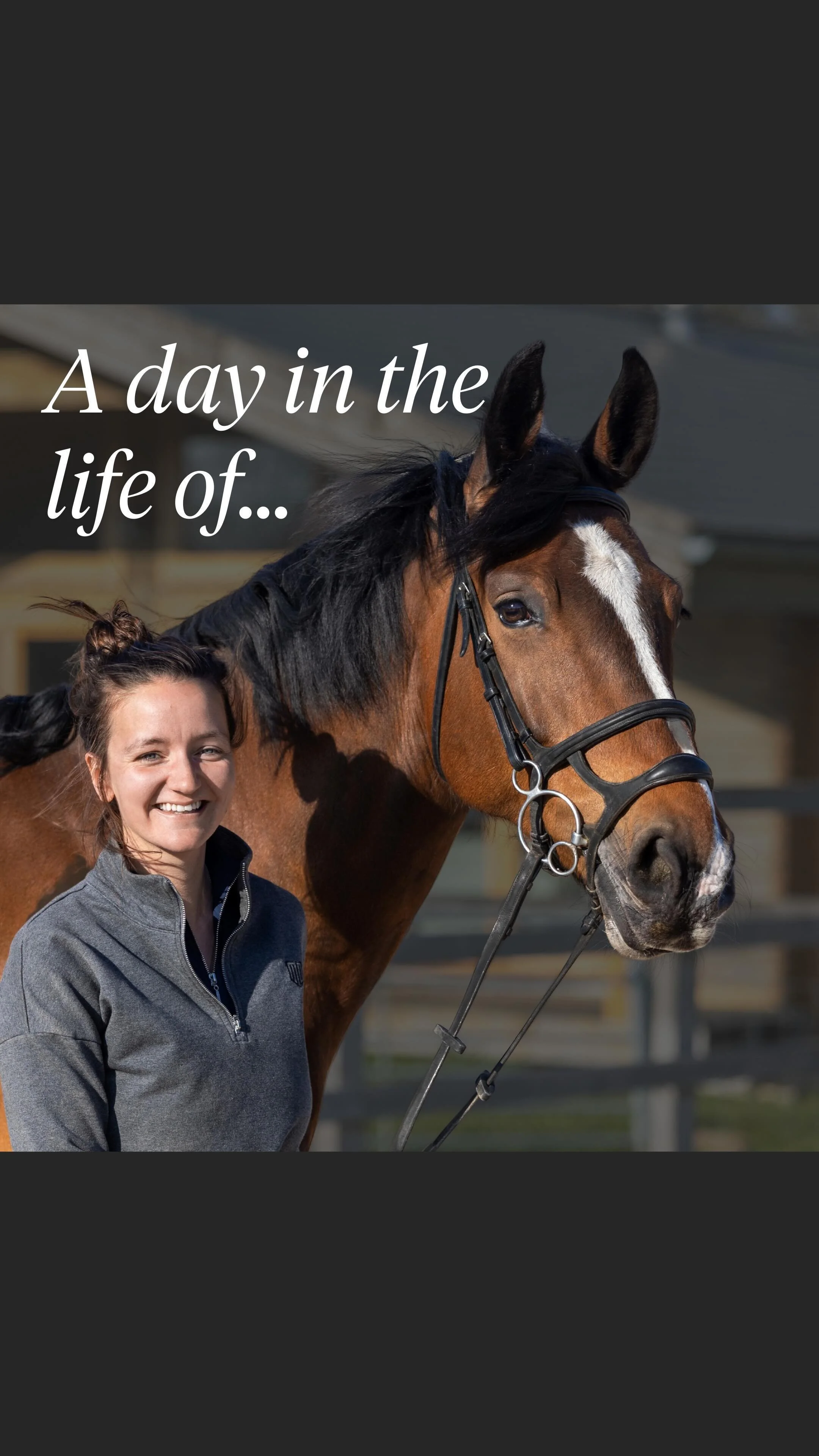 Home | Specialist Equine Marketing, Web & Brand Design