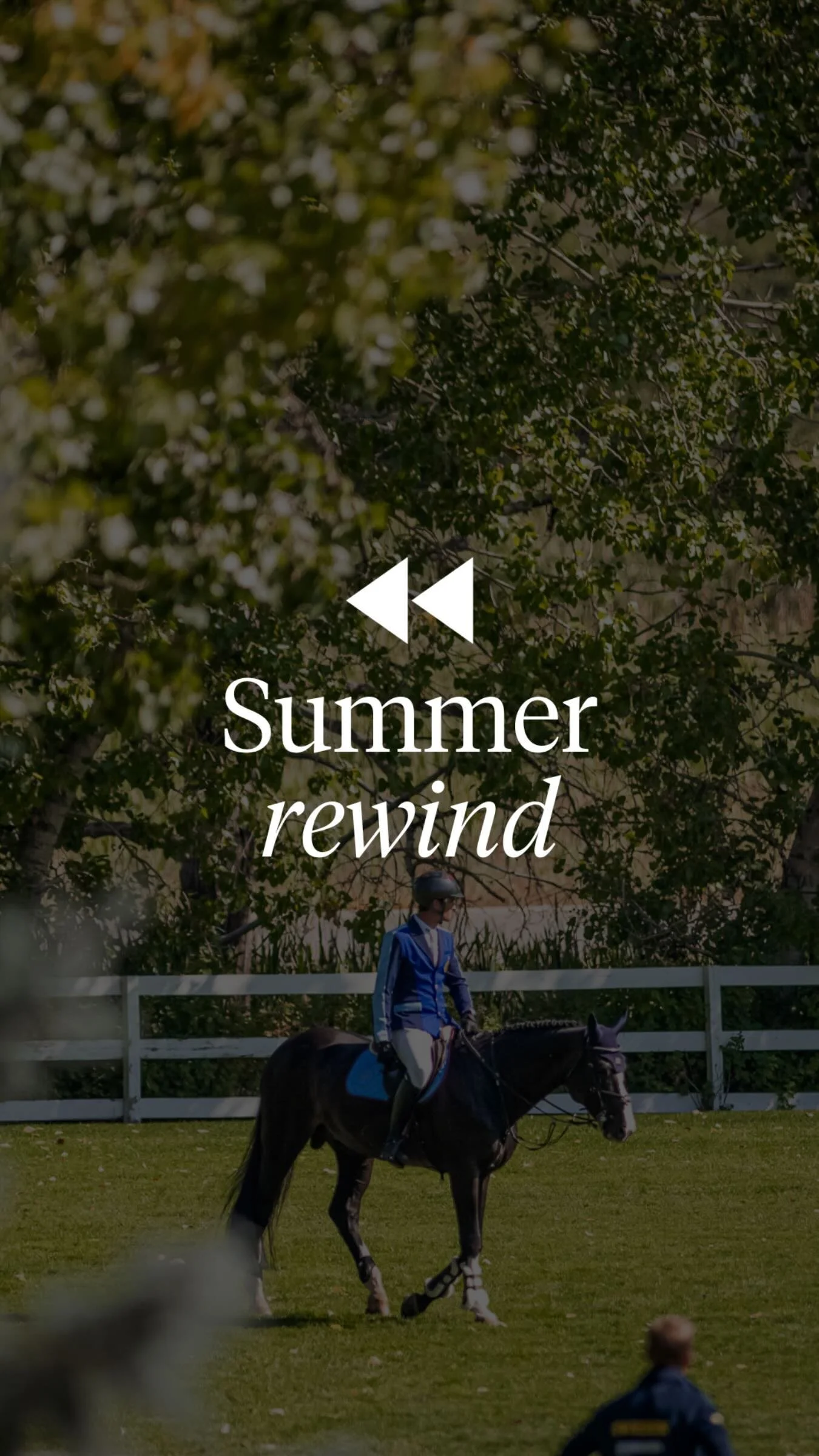 Home | Specialist Equine Marketing, Web & Brand Design