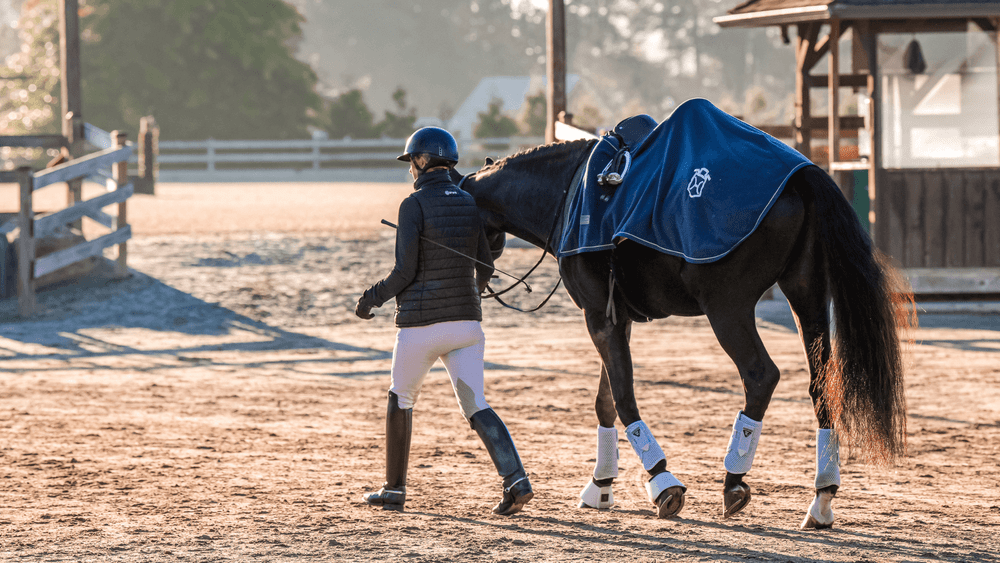 Women Leading Change in Equestrian Business and Sports — EQUERRY / CO