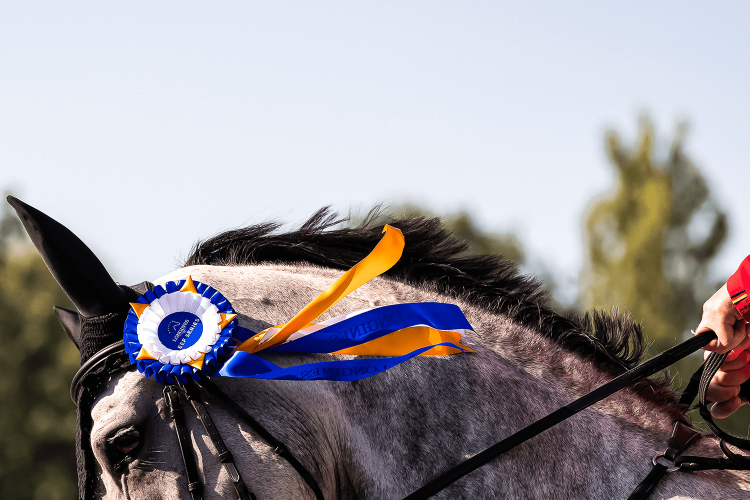 Equestrian Event Promotion: Proven Marketing Tactics for Maximum Impact ...