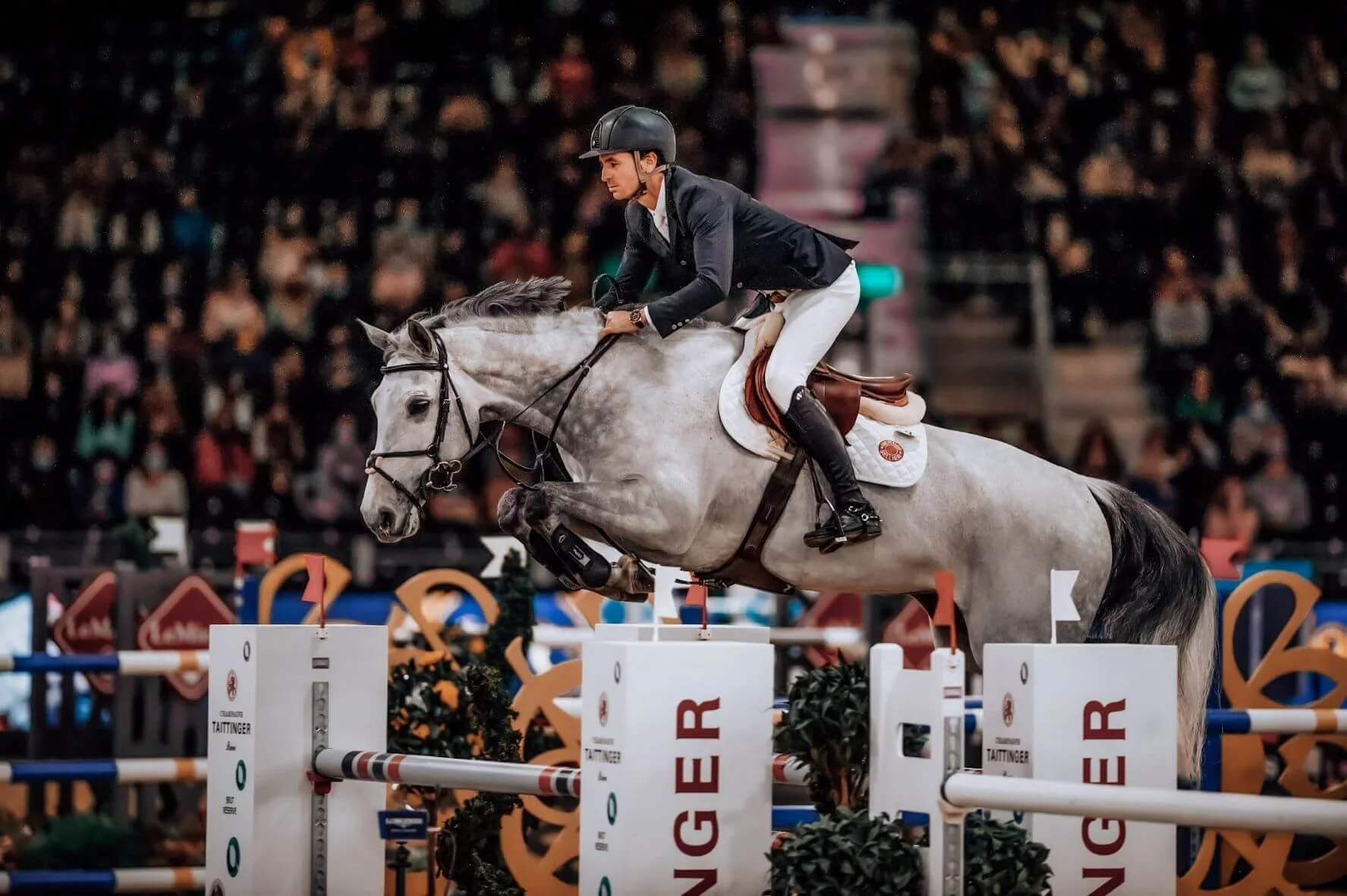 Home | Specialist Equine Marketing, Web & Brand Design