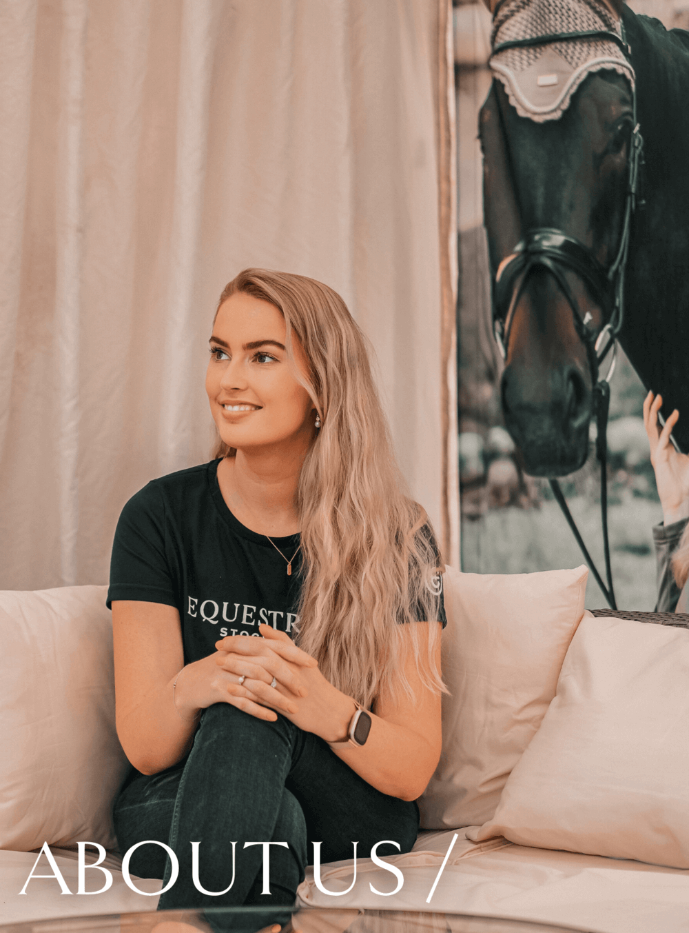 Home | Equine Marketing & Web Design Specialists