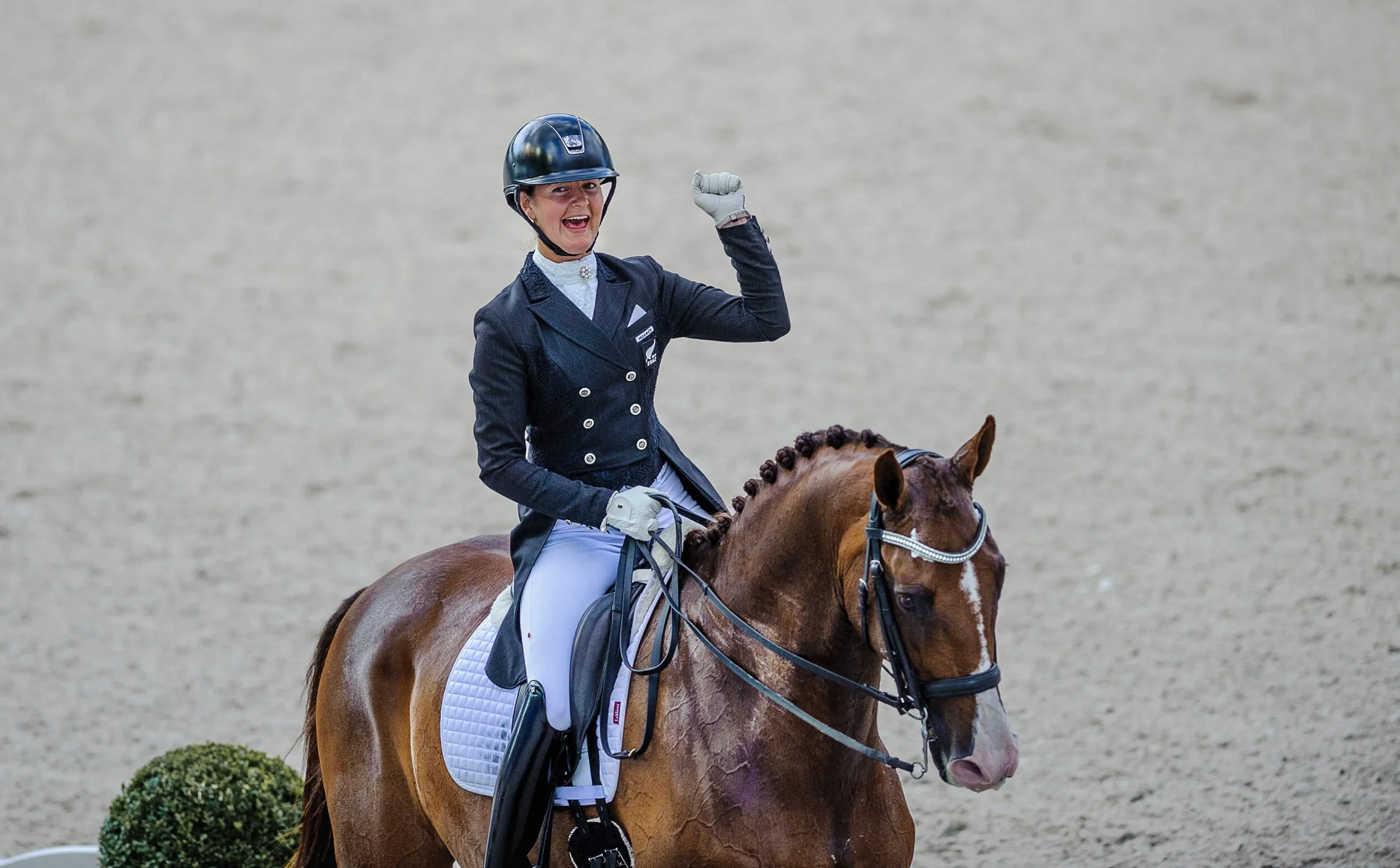 Home | Specialist Equine Marketing, Web & Brand Design