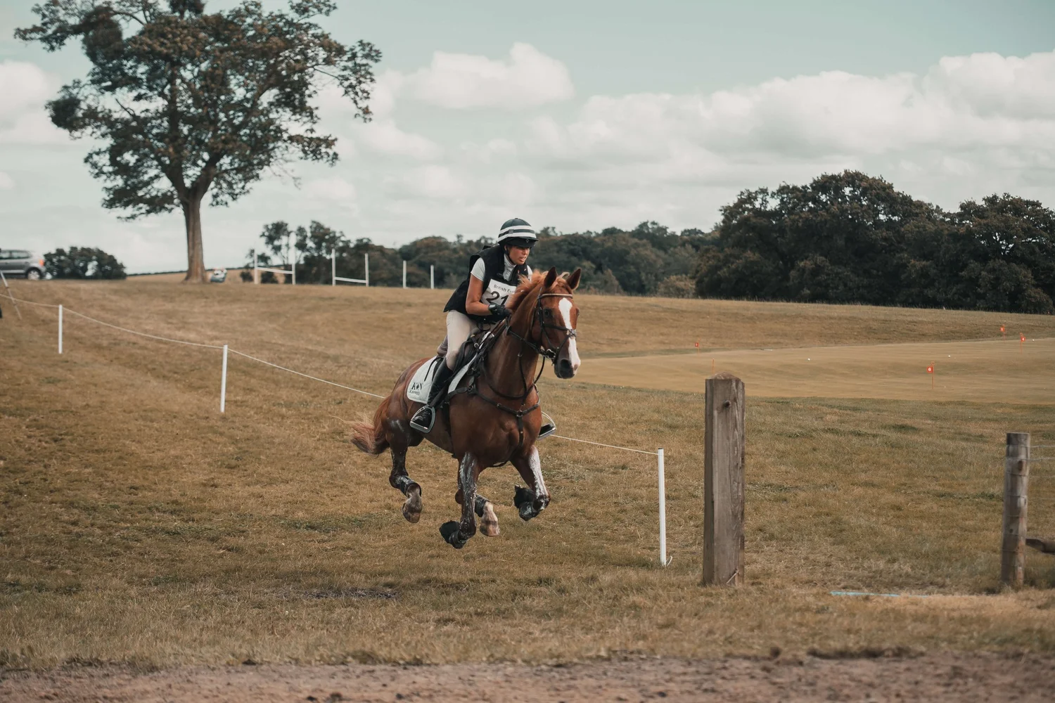 Web Design | Equestrian Website Design Agency — EQUERRY / CO