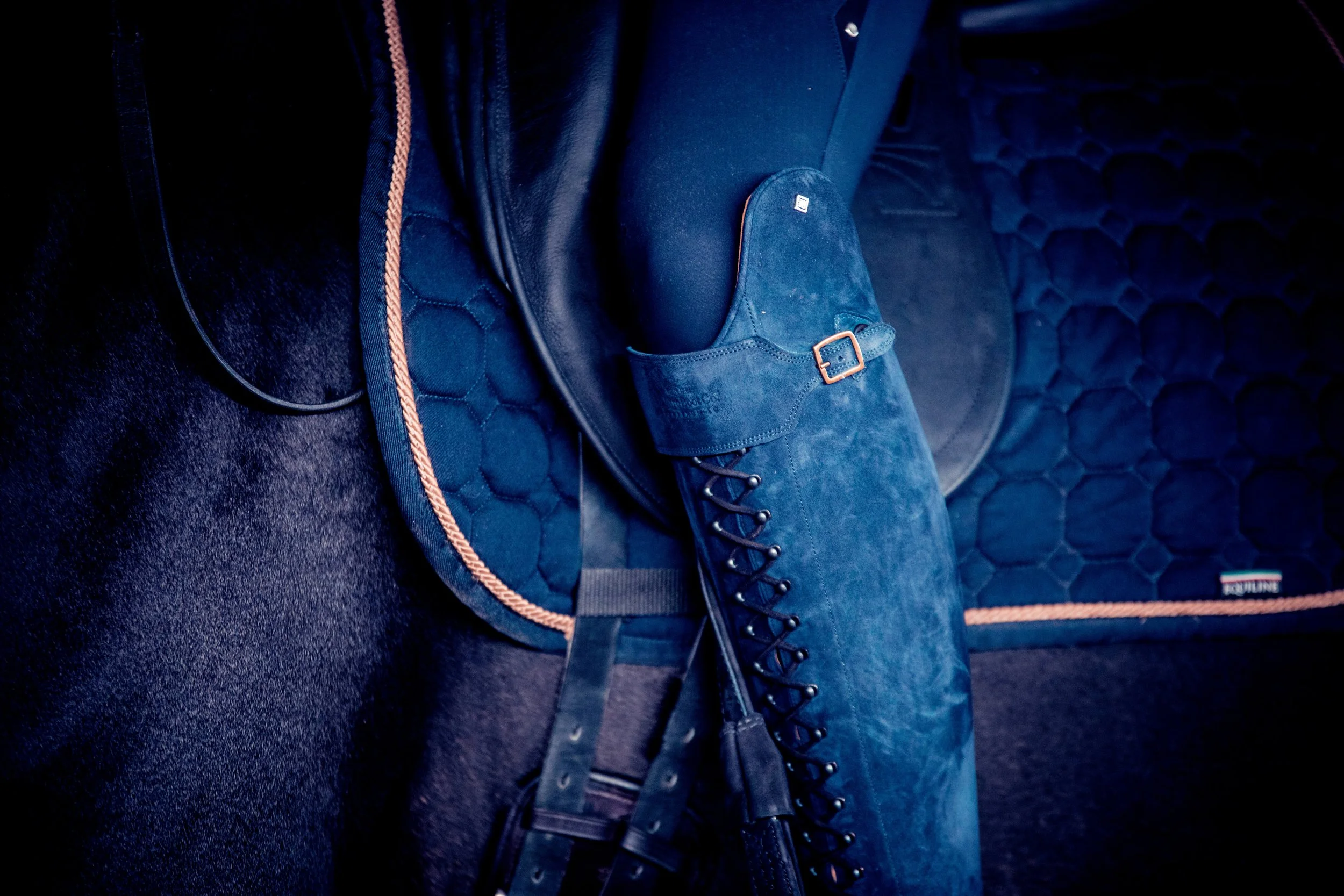 Home | Equine Marketing & Web Design Specialists