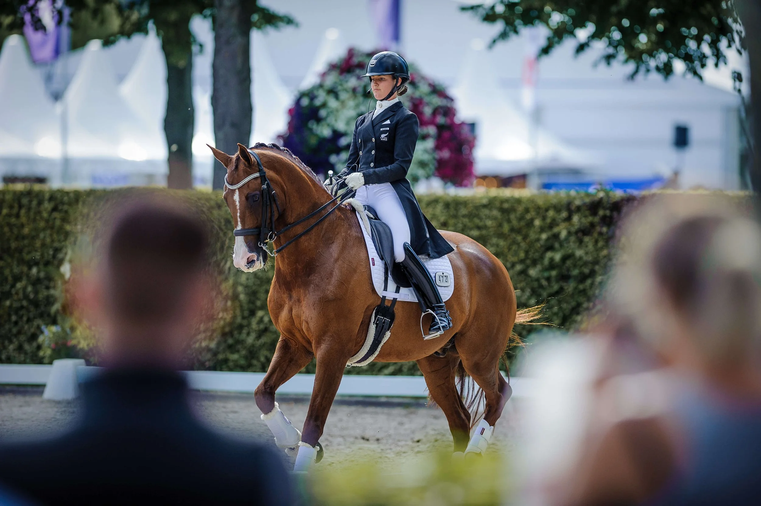 Marketing Services | Digital Marketing for Equestrians — EQUERRY / CO