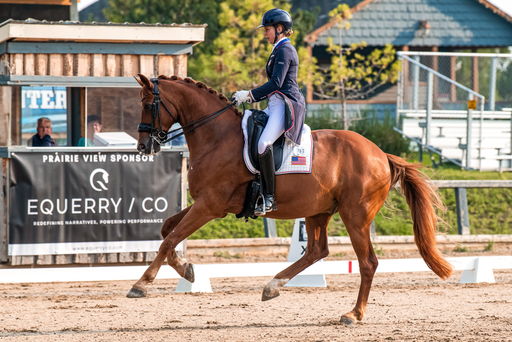 Equine Industry Market Outlook: Trends Across Canada, North America ...