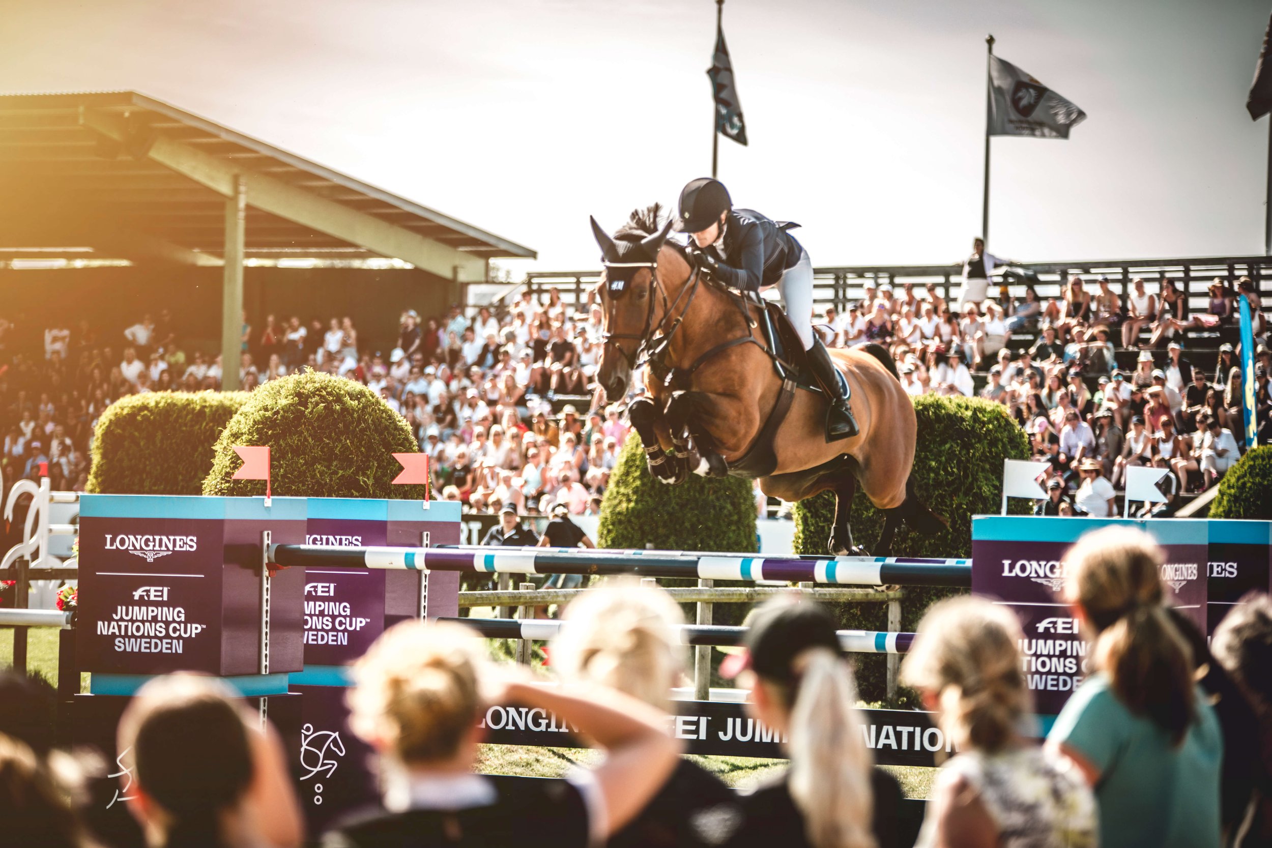 Home | Specialist Equine Marketing, Web & Brand Design