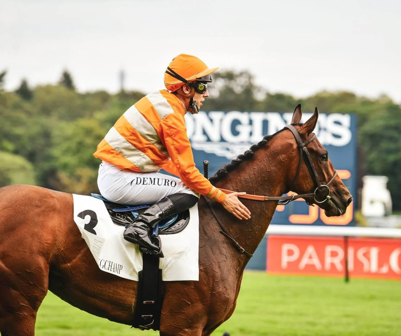 Global Horse Breeding & Sales Market: Trends, Economics & Future ...