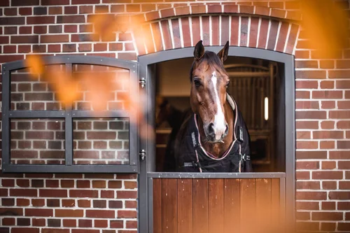 Evergreen Content & ROI in Equestrian Marketing 2026 — EQUERRY / CO