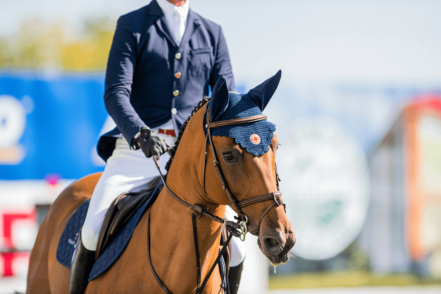 Equestrian Event Promotion: Proven Marketing Tactics for Maximum Impact ...