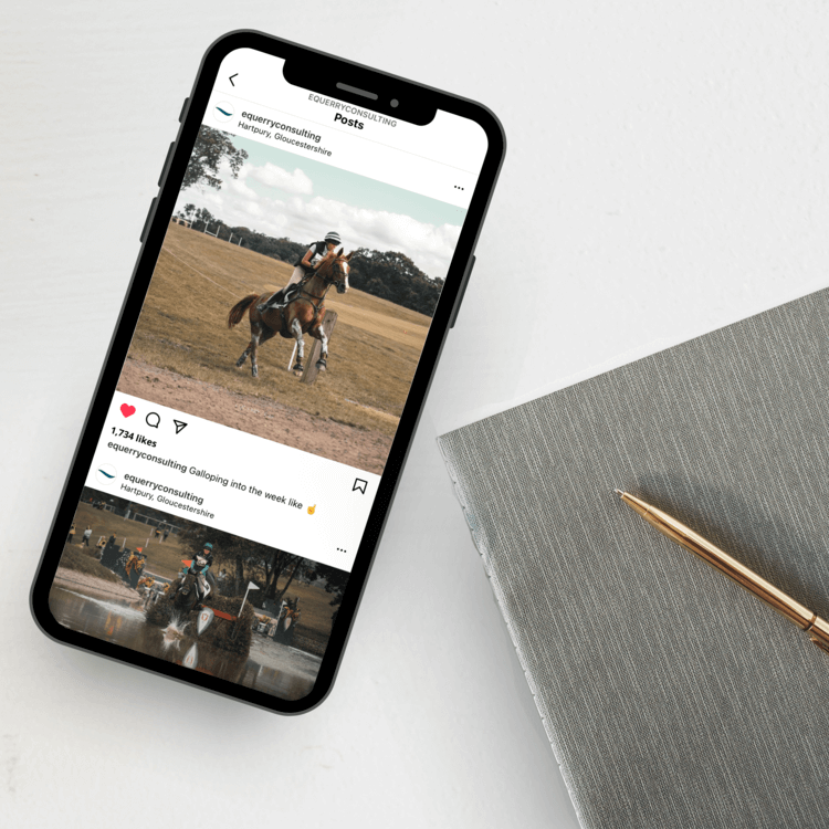 Social Media Management for Equestrian Brands and Athletes / — EQUERRY / CO