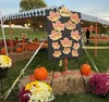 Embracing the Beauty of Fall in Worship | Carrot Top Studio