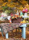 Embracing the Beauty of Fall in Worship | Carrot Top Studio