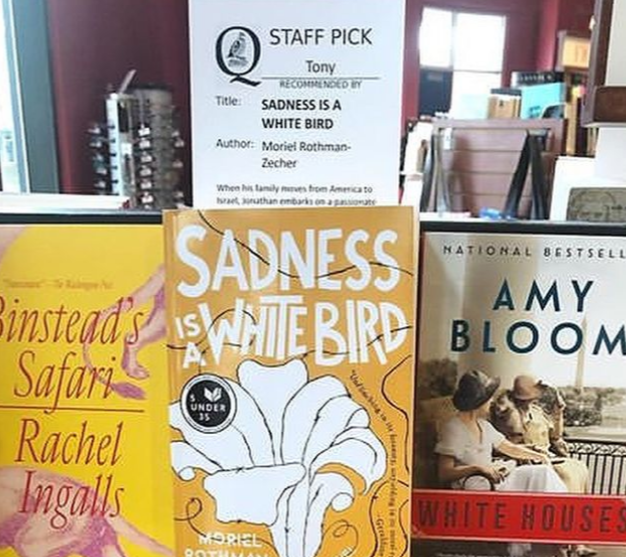 Sadness Is a White Bird: A Novel — Moriel Rothman-Zecher