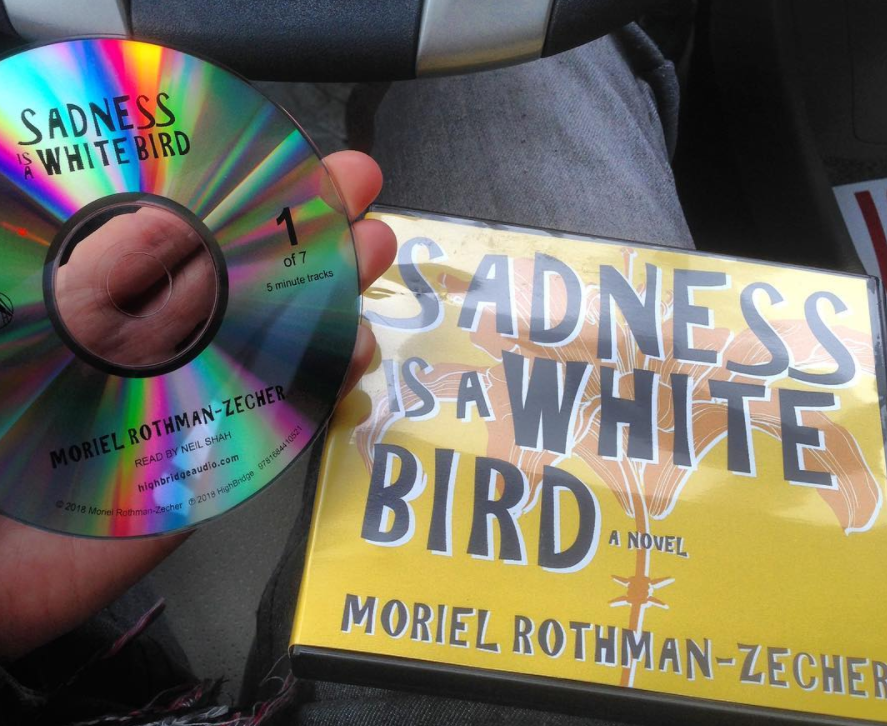 Sadness Is a White Bird: A Novel — Moriel Rothman-Zecher