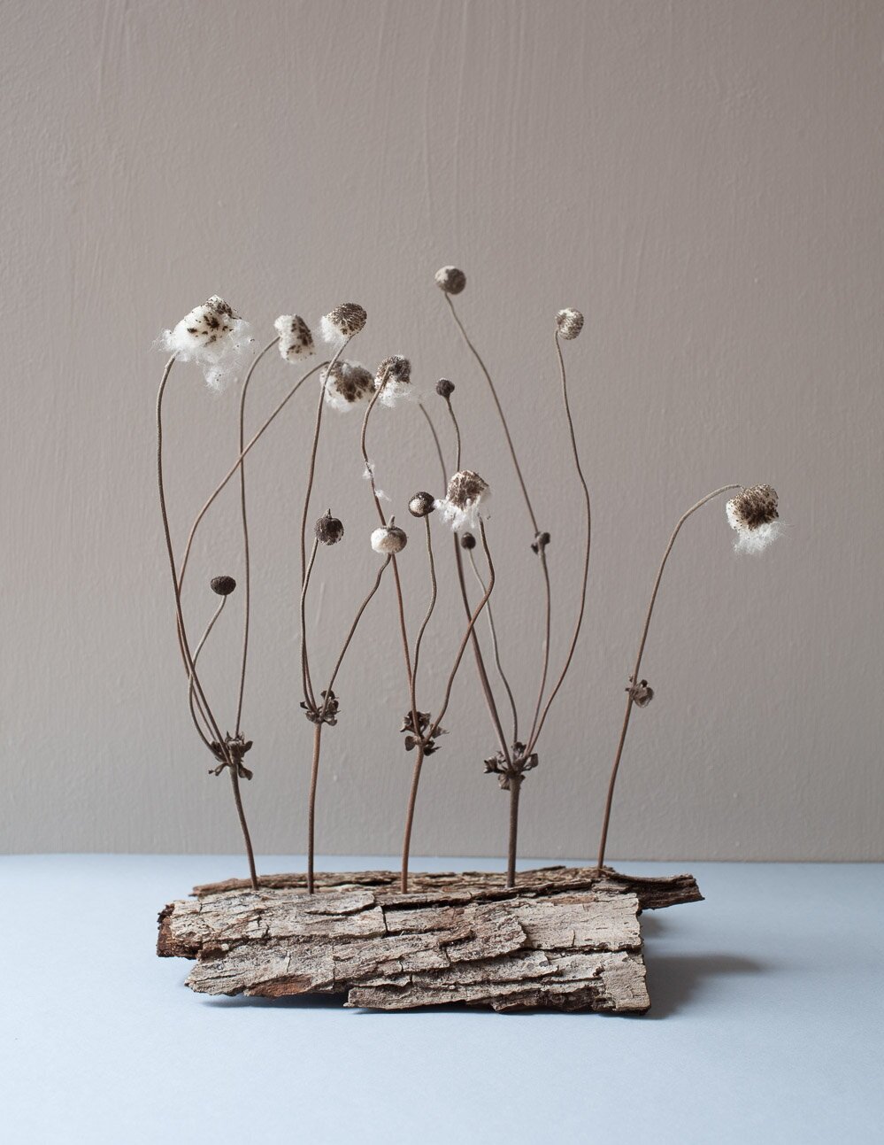 Fine Art Photography, inspired by nature & plants, modern botanical art ...